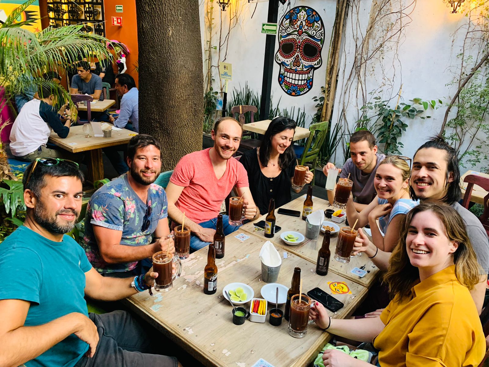 Adventures Mexico City - MWT - The monkey experience